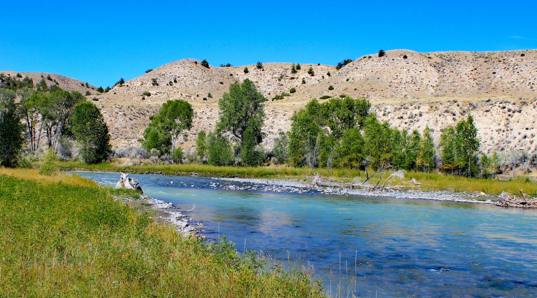 Greybull River - Cowboys and Indians Magazine