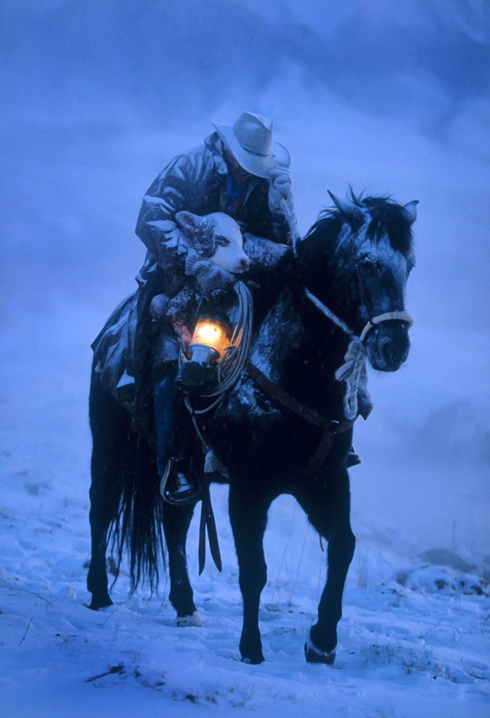 P87 - Winter’s Save, Kevin Donahue, Zollinger Ranch, Barton Flat, 1994 ...