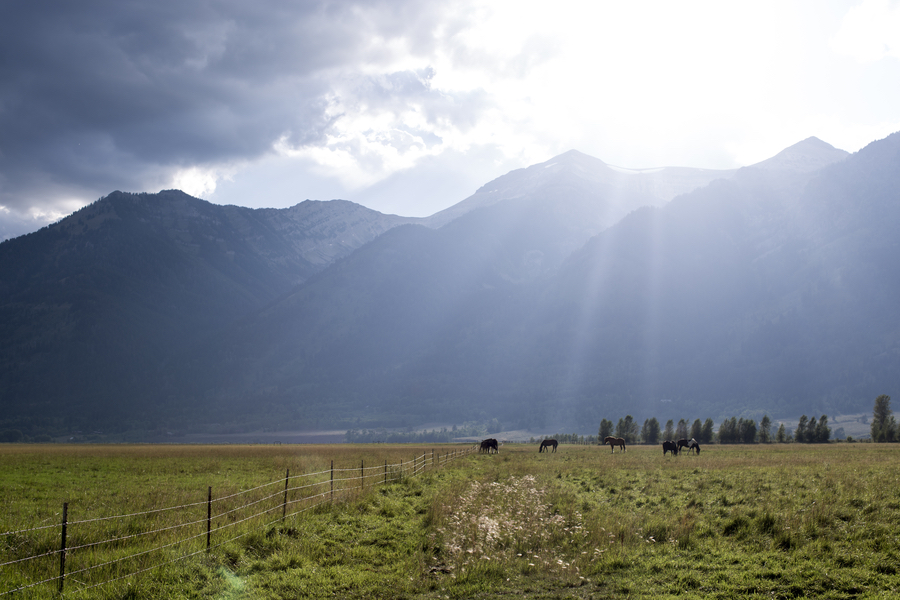 Keith Valley Saddle Co. Keeps Tradition Alive - C&I magazine