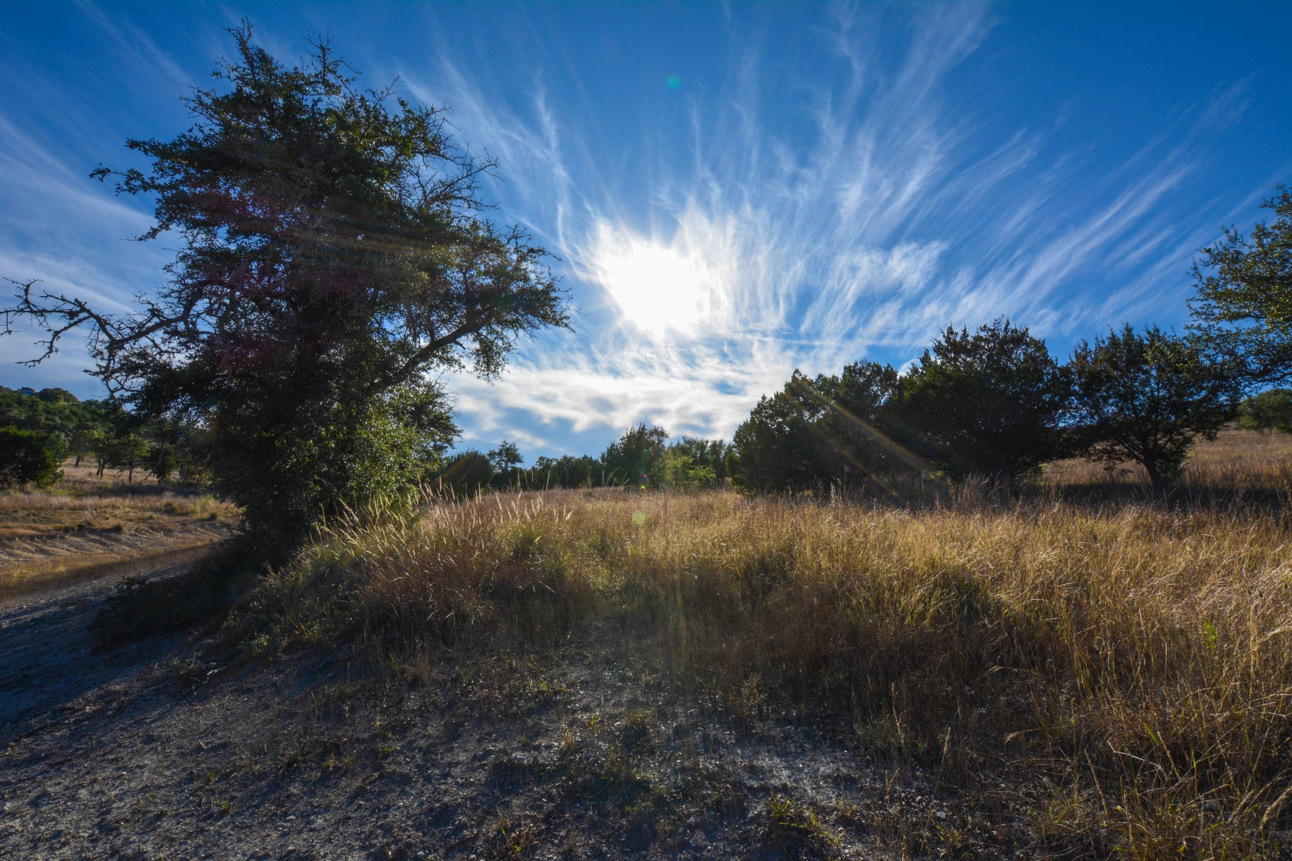 011_Hill Country Terrain - Cowboys and Indians Magazine