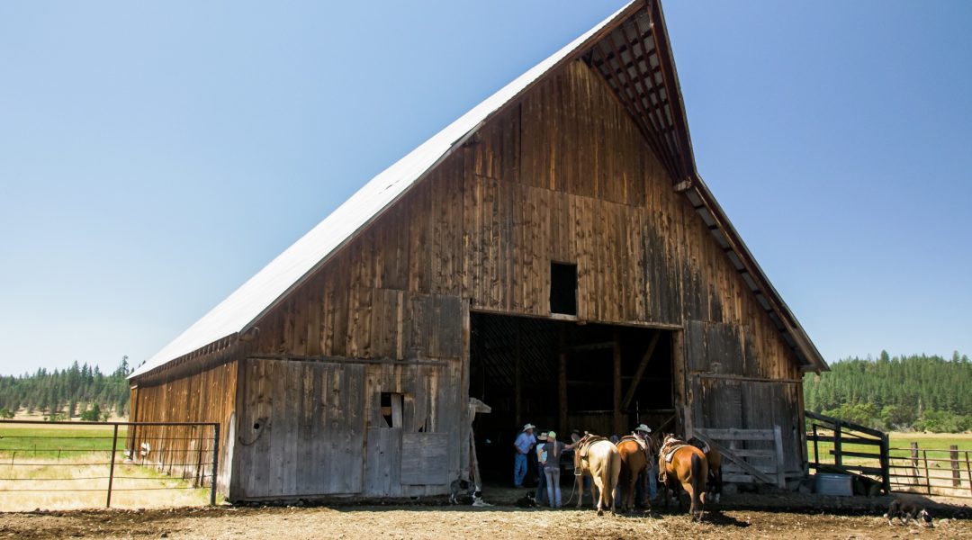 Circle C Ranch stills-4 - Cowboys and Indians Magazine