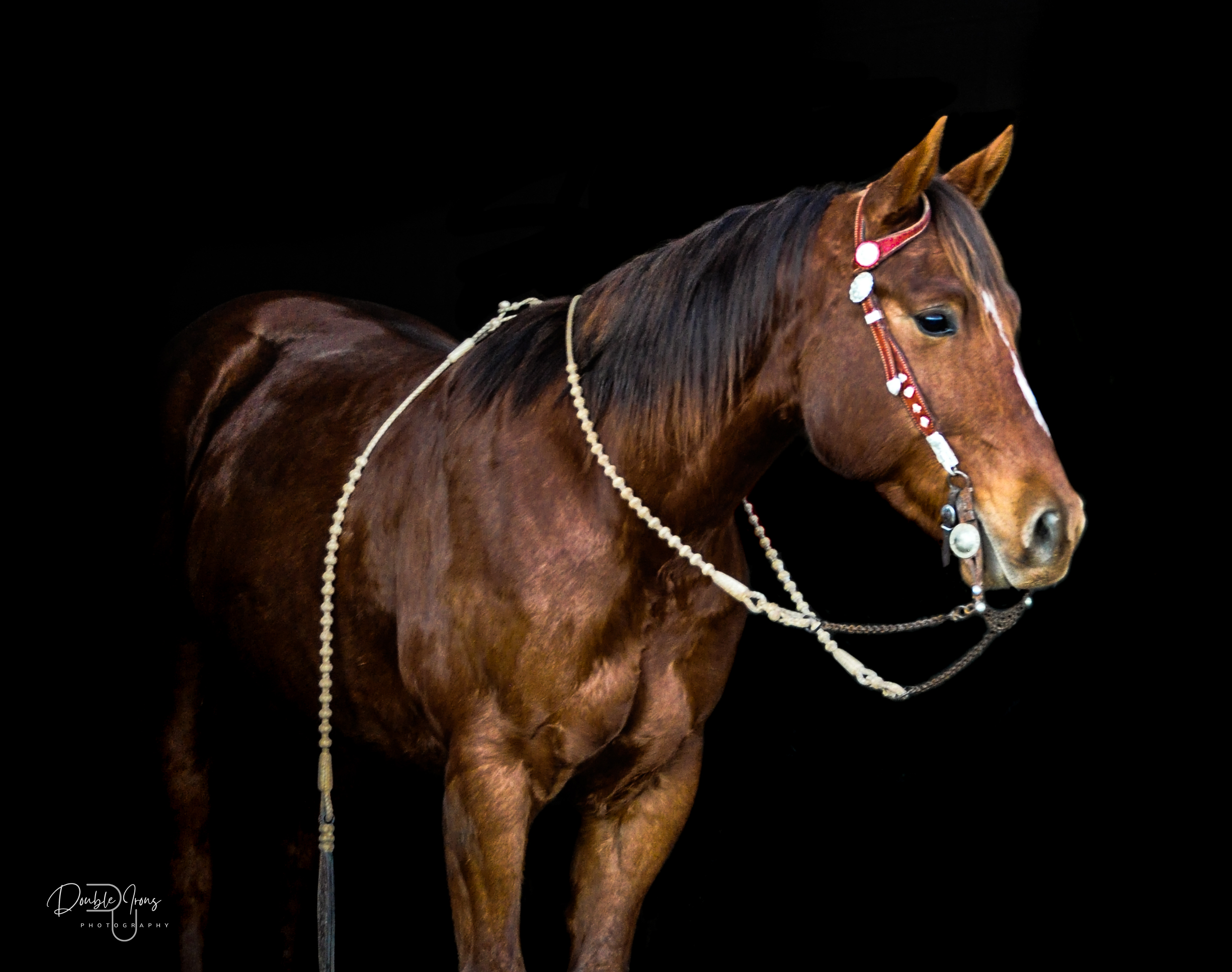 Chama 2 - Cowboys and Indians Magazine