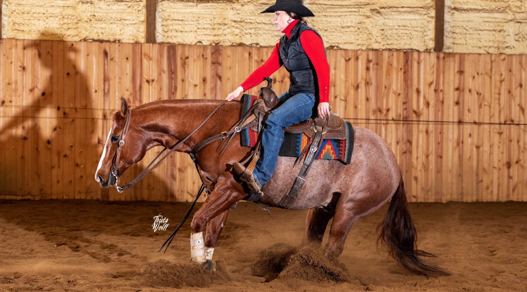 Smarty (2) - Cowboys and Indians Magazine