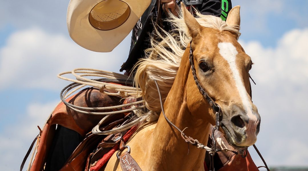 Victory Lap 2019 - Cowboys and Indians Magazine