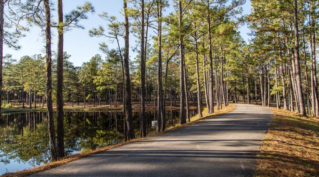 timber-creek-lodge-entry_orig - Cowboys and Indians Magazine