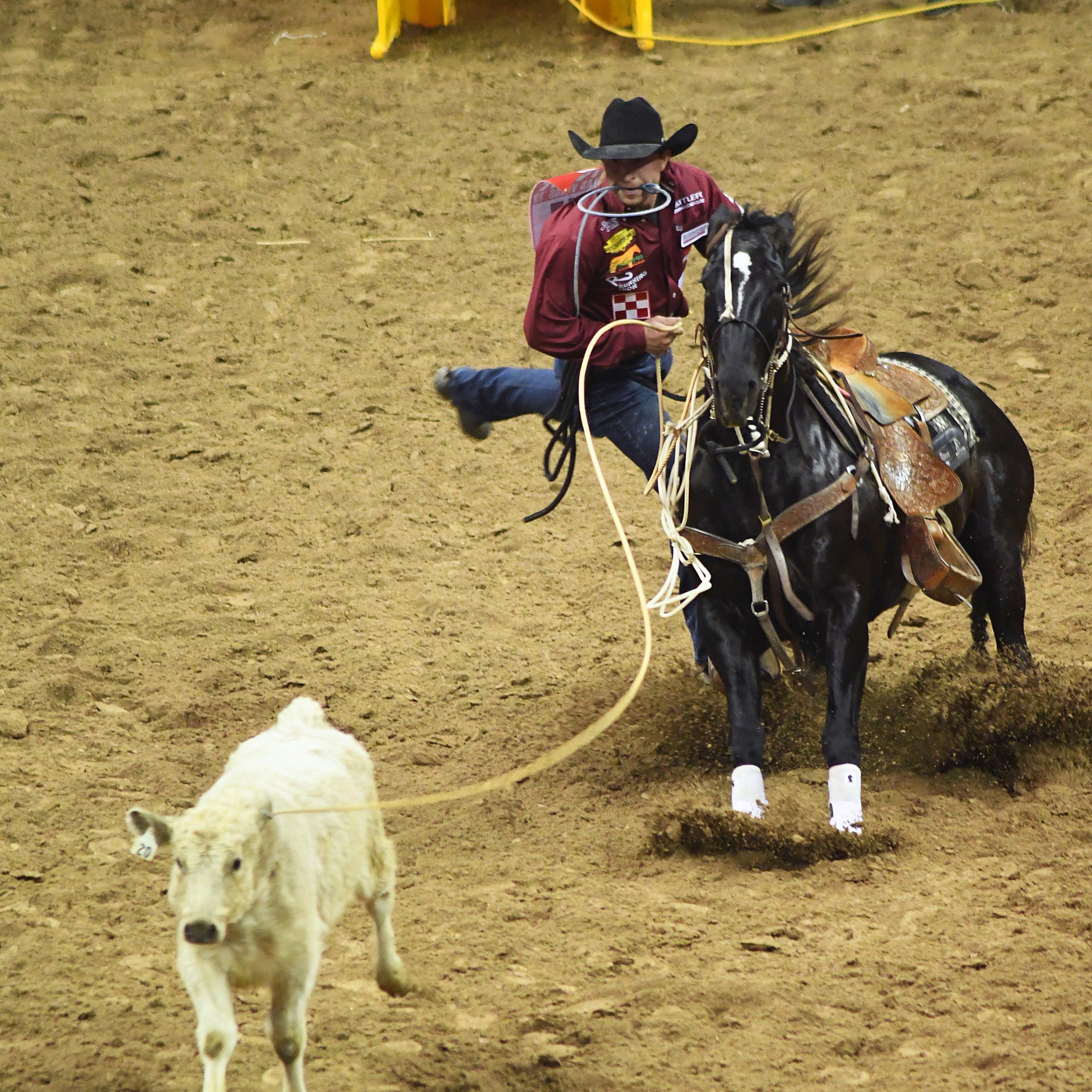 Haven Meged - Action Day 10 by Steve Spatafore - Cowboys and Indians ...