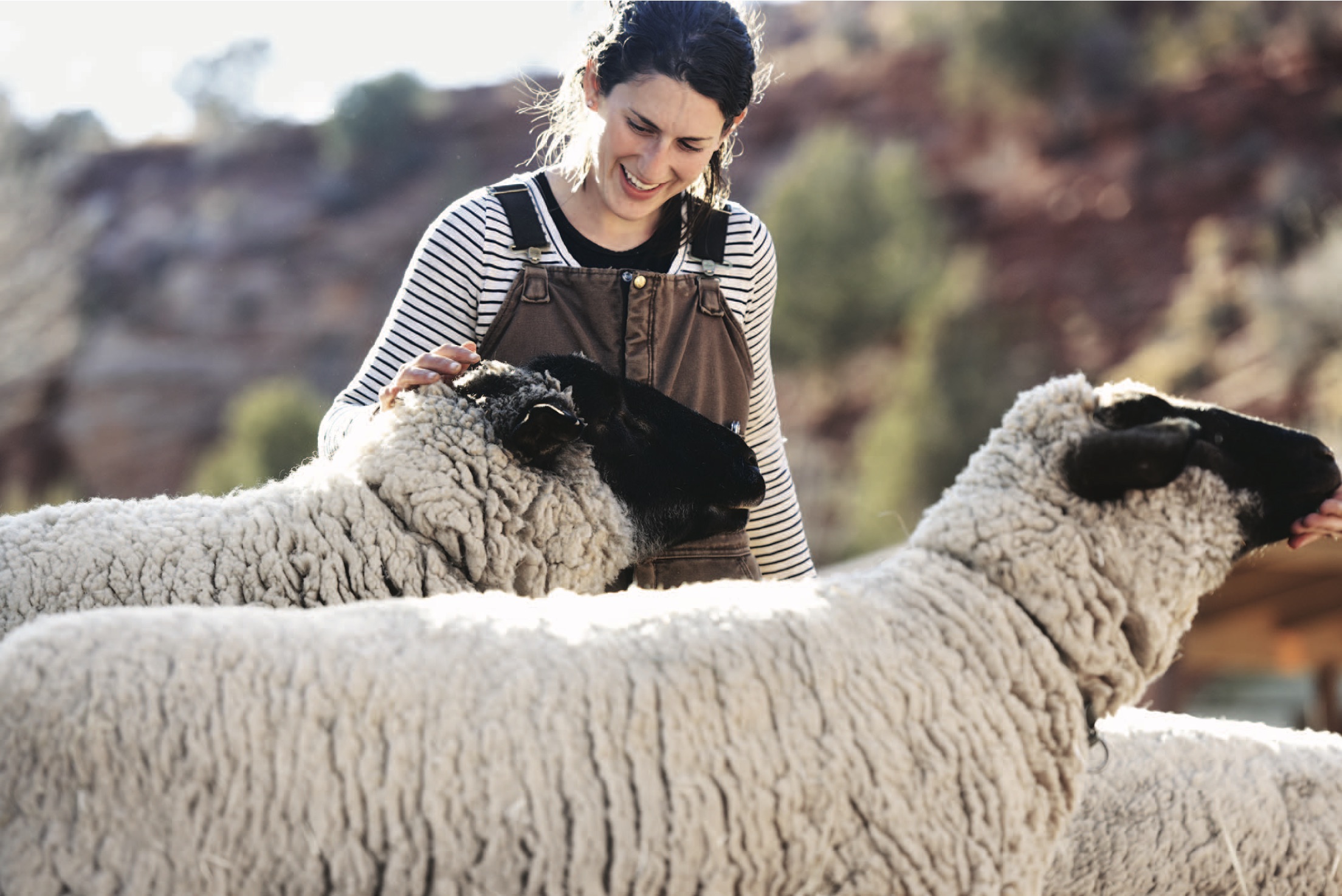 BFF_Sheep - Cowboys and Indians Magazine