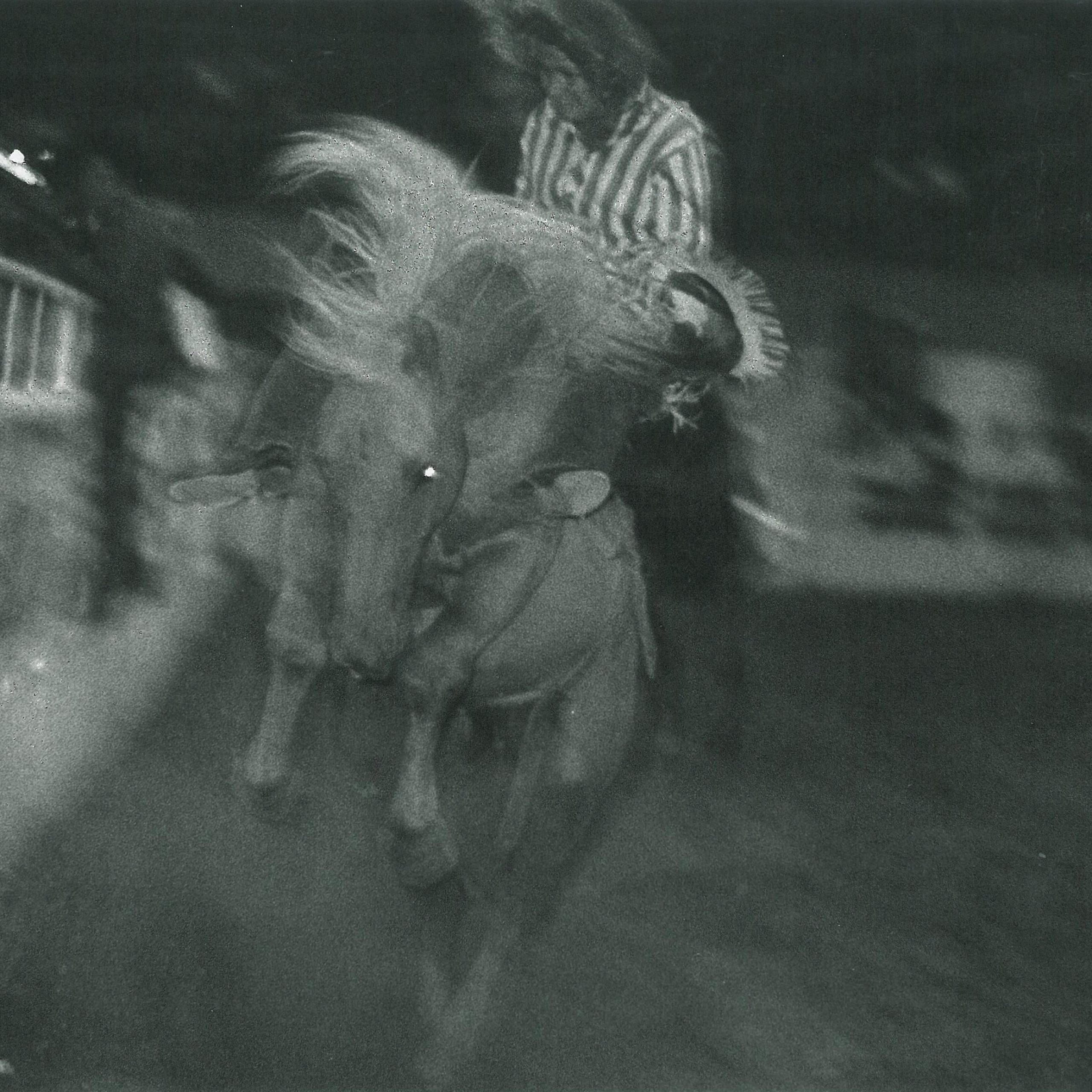 Jan on Bareback Bronc (c) 1986 Barbara Van Cleve - Cowboys and Indians ...