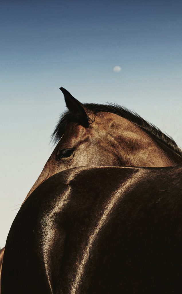 summer slick - Cowboys and Indians Magazine