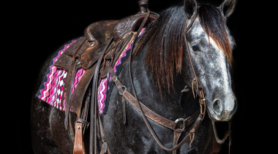 Gunsmoke (1) - Cowboys and Indians Magazine