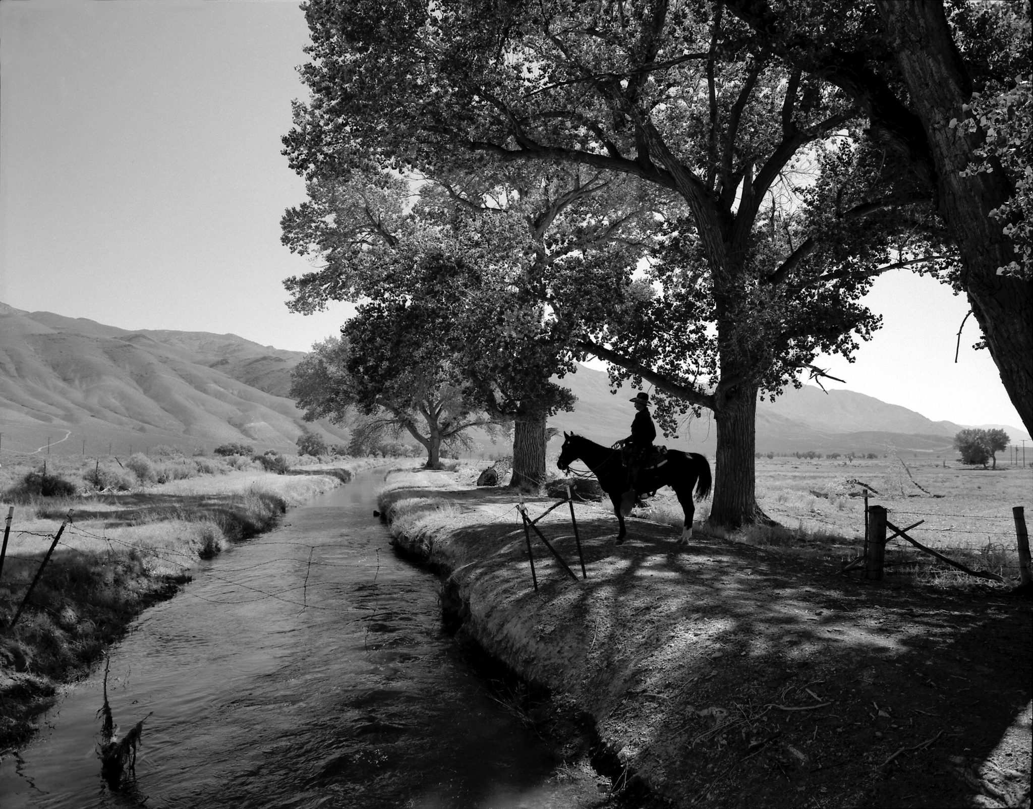 The Art Of Seeing The Equestrian West: Western Photography