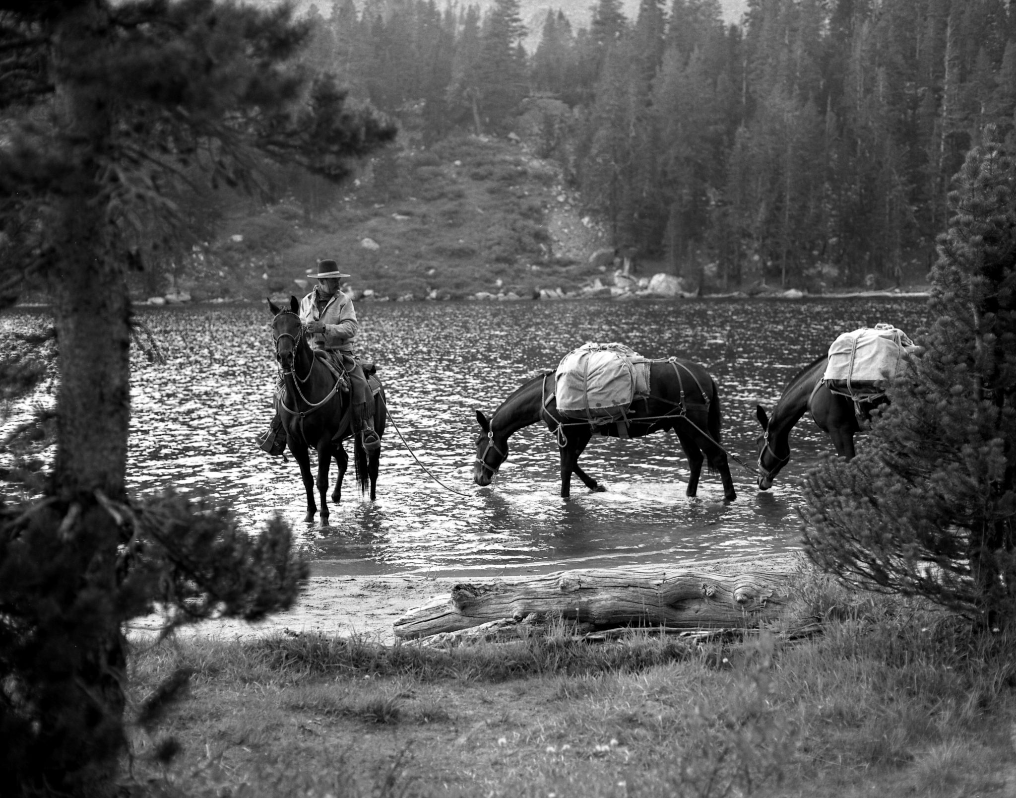 The Art Of Seeing The Equestrian West: Western Photography