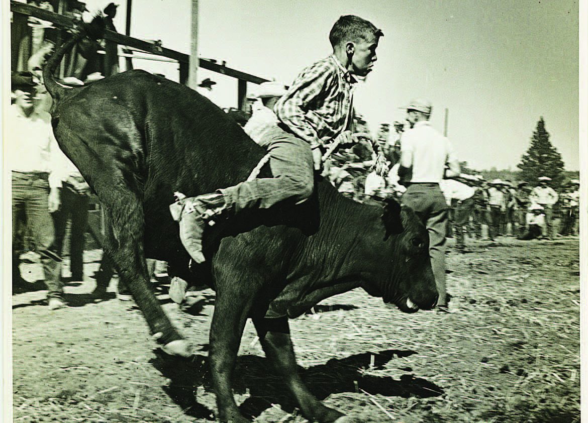 Bill S Cowboy Bull Riding