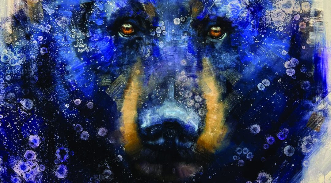 David Frederick Riley — black bear blue 60x60-Edit-F - Cowboys and ...