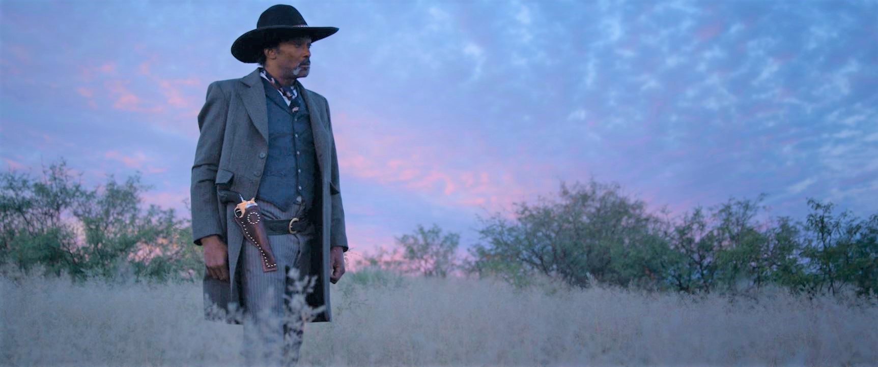 Wild West Cowboy
