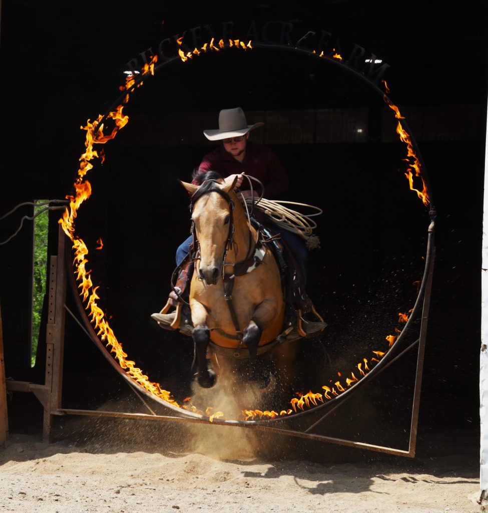 League of Legends — Lot 55 Buckeye Acre Farms Boon - Cowboys and ...