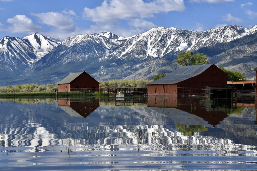 Photo Contest 2024 — Carson Range Reflection, Kim Steed - Cowboys and ...