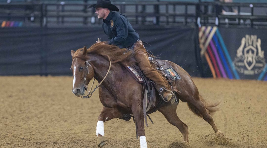 Rein-Work-Justin-Wright-American-Performance-Horseman-Photography ...