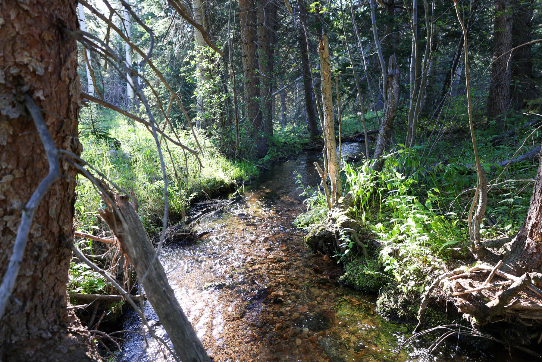 captain-rock-ranch-nature-creek - Cowboys and Indians Magazine