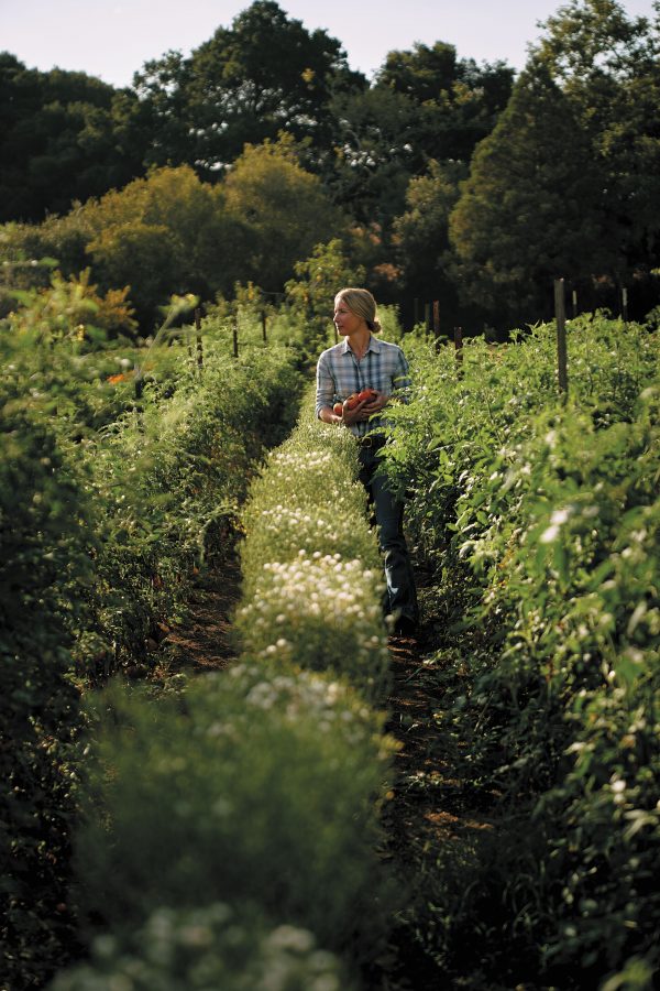 Ranch To Table With Elizabeth Poett
