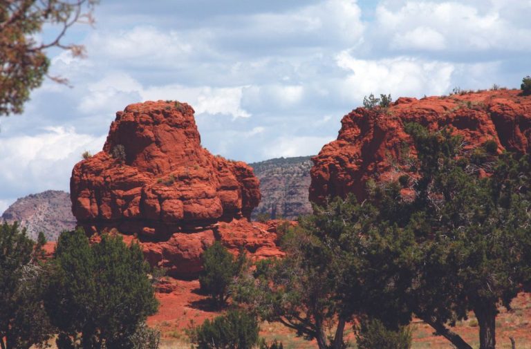 Discover The Power Behind The Piñon Nut