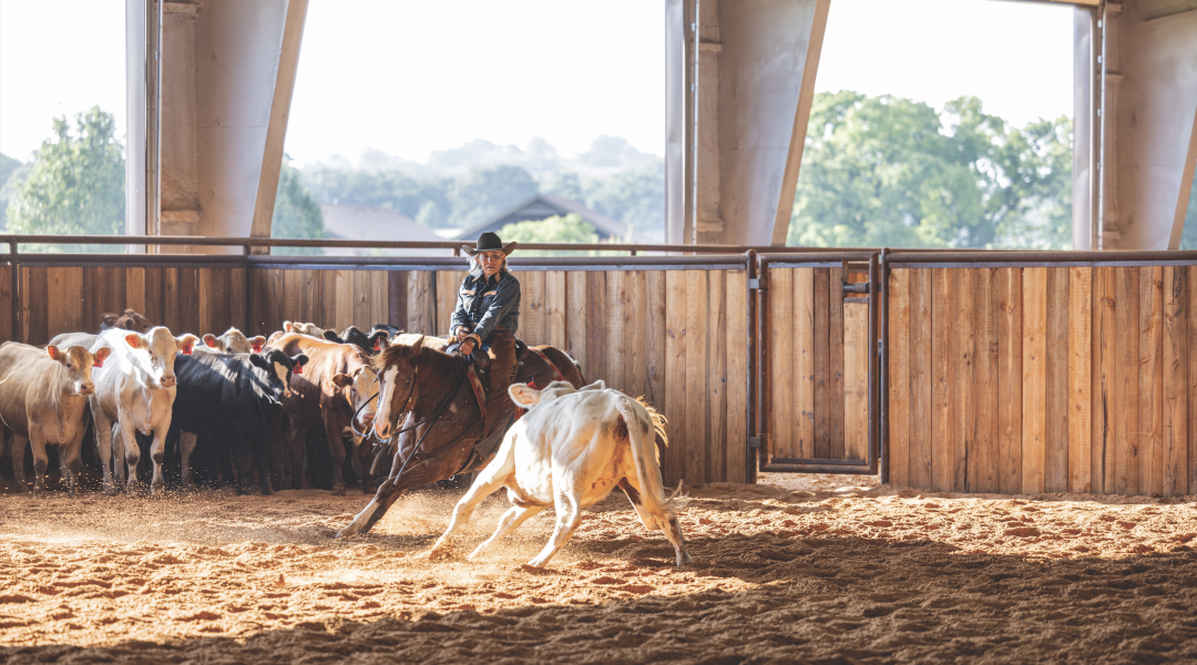 Lindy-Burch-Fall-Fashion-2024-cutting-1 - Cowboys and Indians Magazine