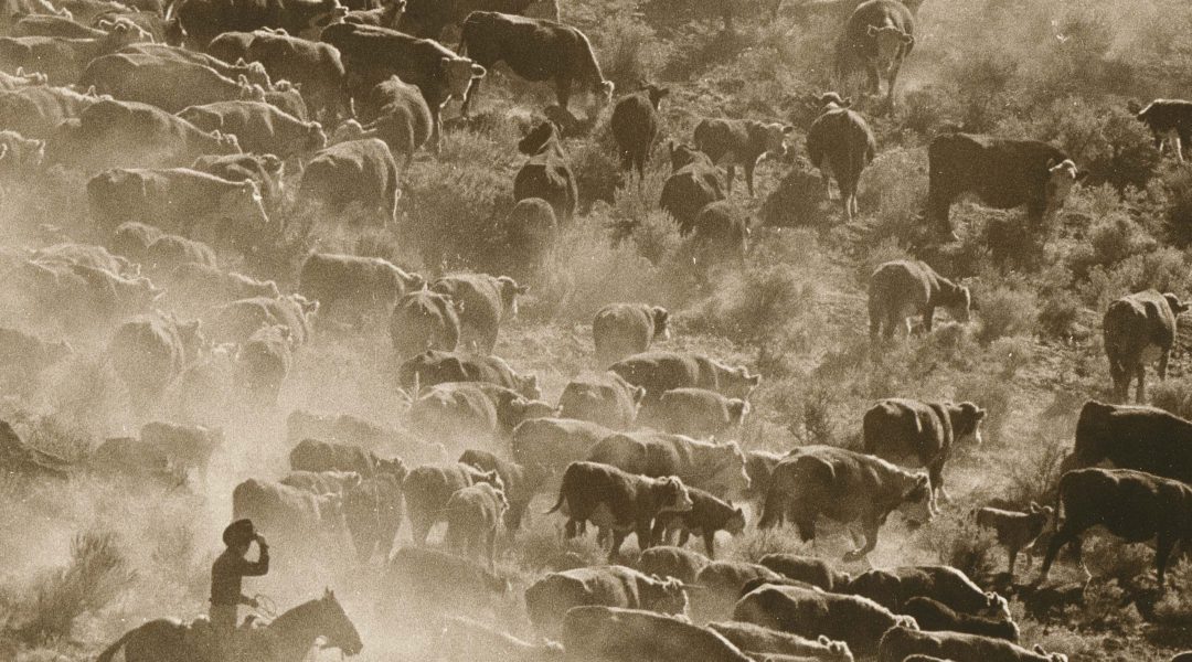 NewEraScans - Cowboys and Indians Magazine