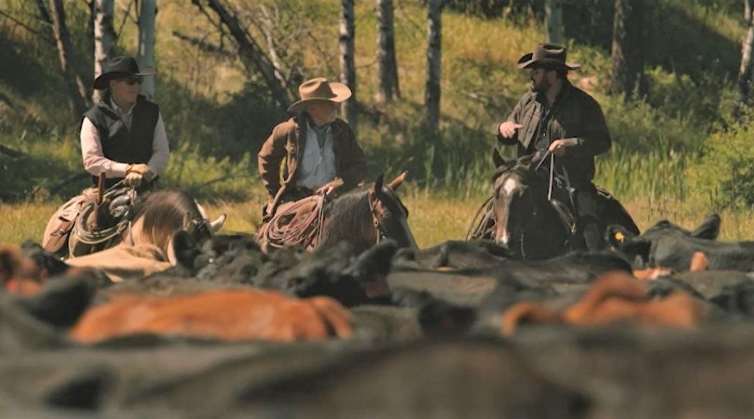 CaptureCattleA - Cowboys and Indians Magazine