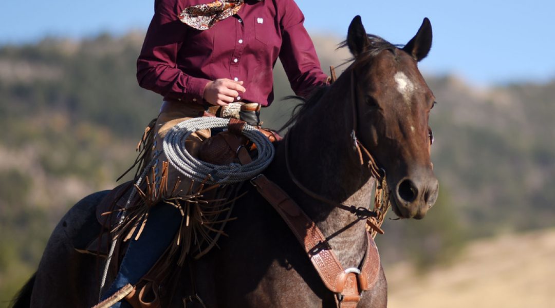 Hailey - Cowboys and Indians Magazine
