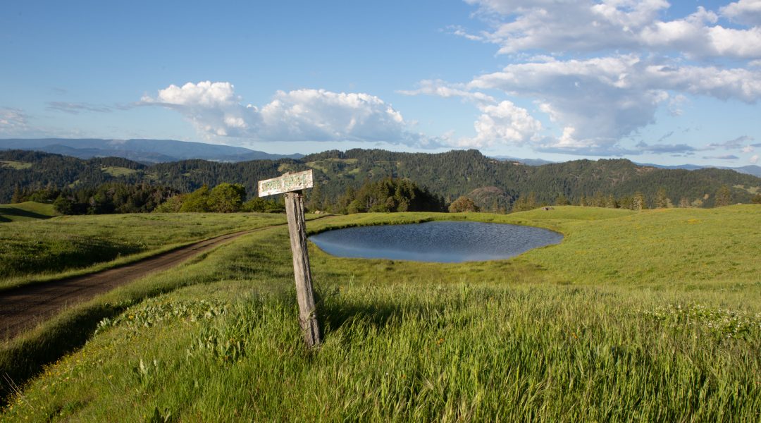 Lone Pine Ranch - Cowboys and Indians Magazine