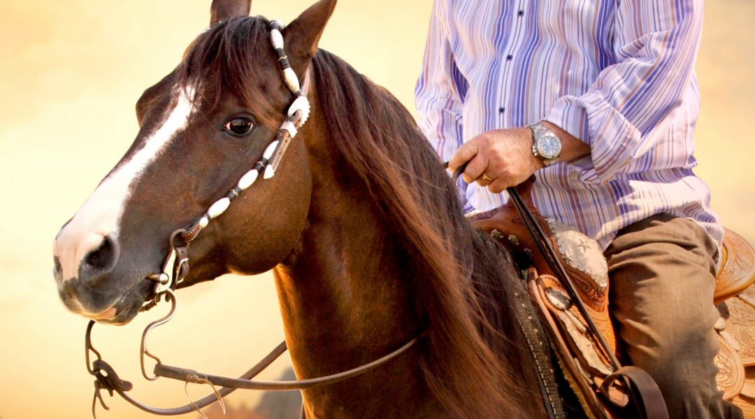 Shatner_credit Guy Noffsinger - Cowboys and Indians Magazine